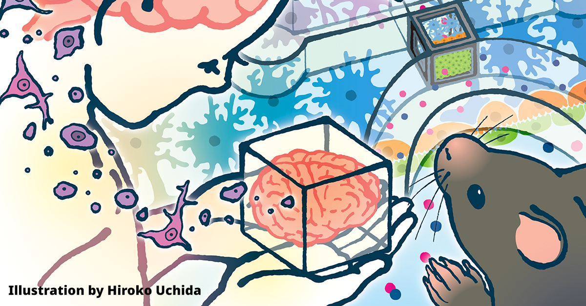 Cubes of brain tissue allow drug discovery without animals - It Ain't Magic